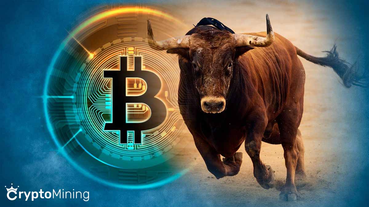 Bitcoin's Positions Turning Bearish: Will the Rally Continue? - Crypto ...